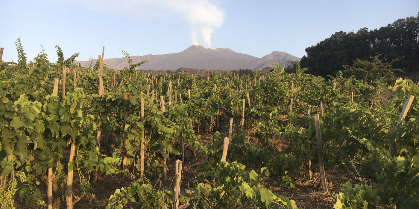 L’etna nella sua completezza – Benanti Viticoltori